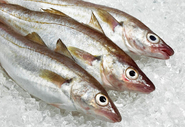 Quality Large Ozone Generator & Water Ozone Generator factory from China