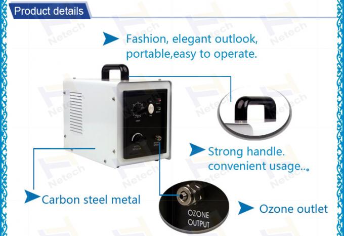 Portable Hotel Ozone Machine For Air Purifier And Water Treatment 3g 5g