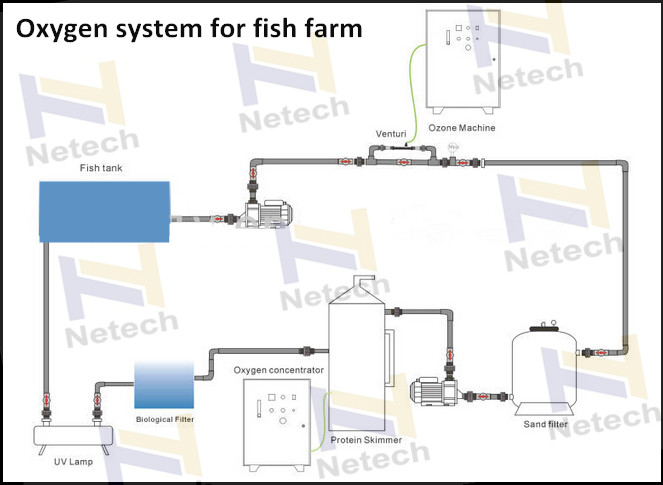 10lpm 20lpm PSA Oxygen Generator Stainless Steel O2 Machine In Fish Pools