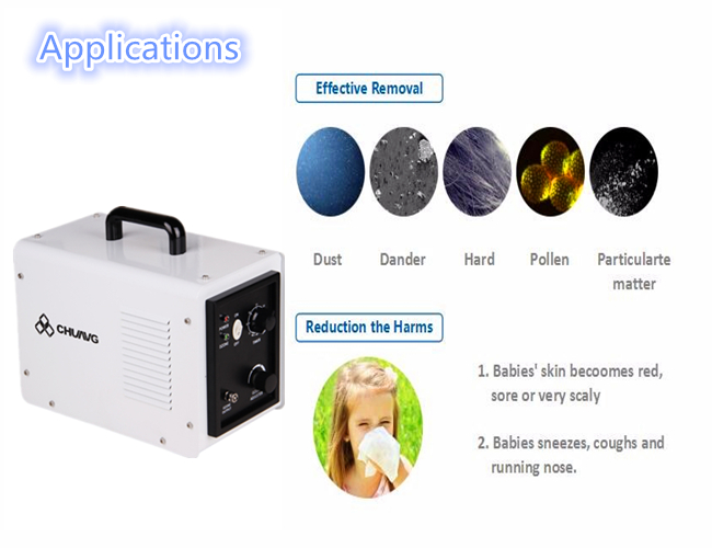 220V Odor Removal 3g - 5g Portable Ozone Generator For Hotel Room Kill ...