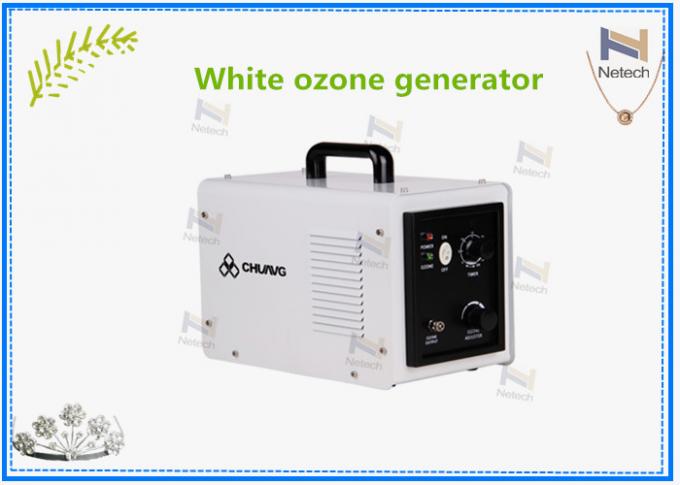 Ceramic Tube White Ozone Generator 3g/Hr 5g/Hr For Air Water Treatment