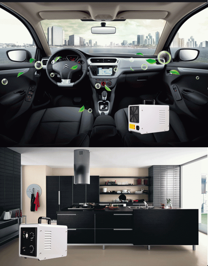 Durable Commercial Ozone Generator Anti Bacteria Viruses 80W 10LPM