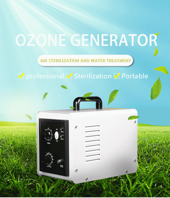 Portable ozone generator 3g 5g air purify O3 ozone machine
