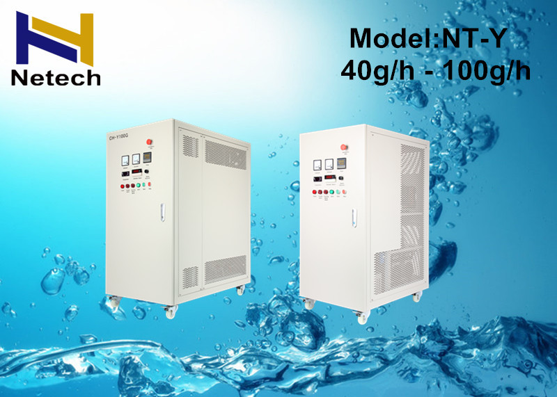 Electronic Ozone Generator Ozone Water Filtration System 40g 50g 60g ...