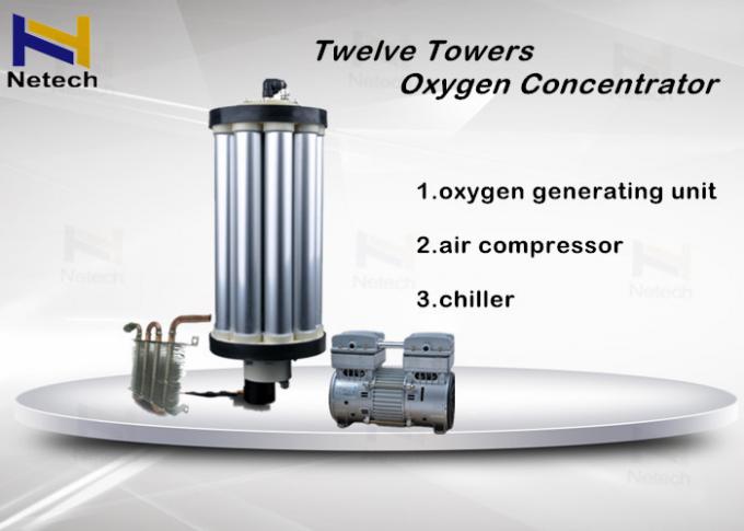 O2 Concentrator PSA Oxygen Generator Spare Parts / Fish Farm Oxygen ...