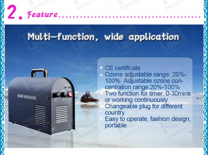 Blue 3G 5G 6G Ozone Machine For Drinking Water / Ozone Room Deodorizer